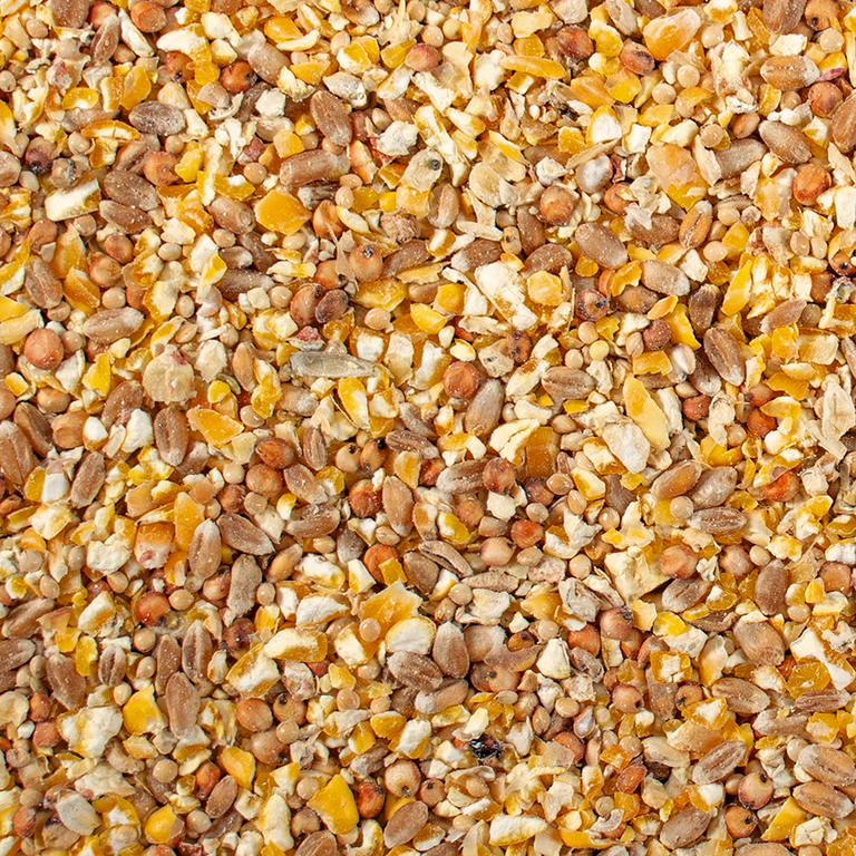 Poussin et caille mix 20kg - Mélange de céréale concassé finement