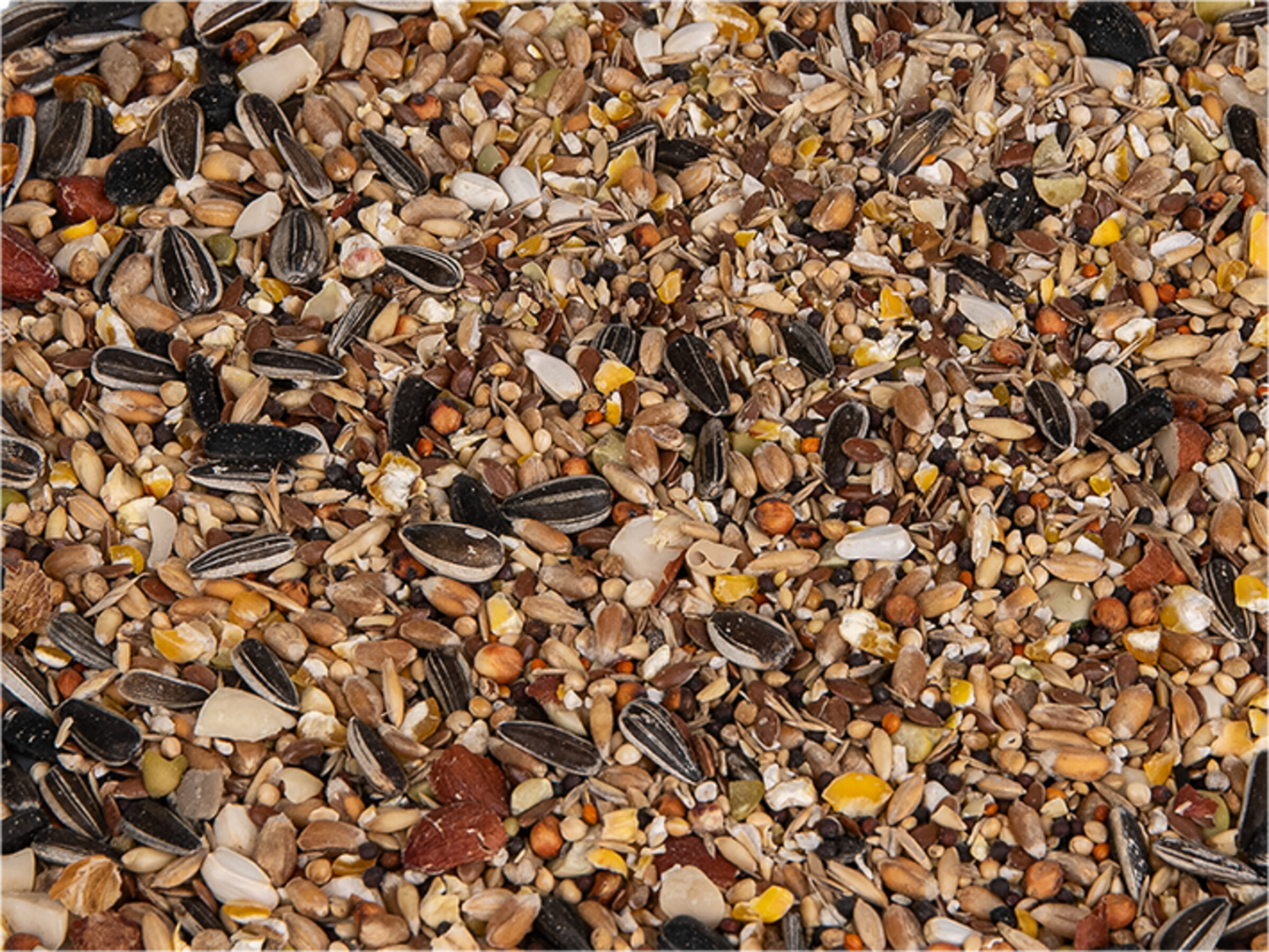 Mélange "oiseaux du ciel", Oiseau de jardin mix 4 saisons 4kg