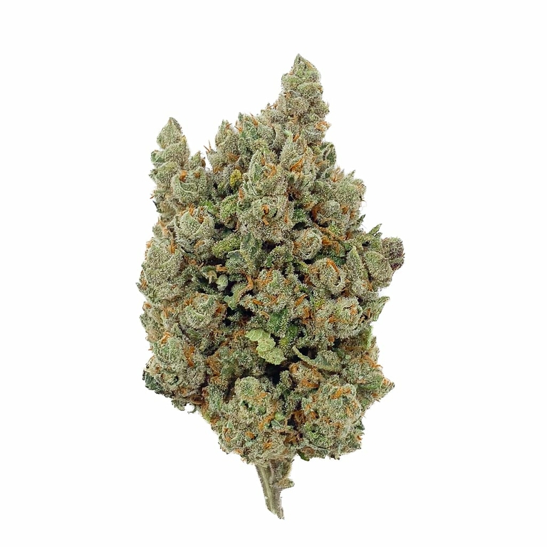 Orange Sherbet Hydro CBD - Fleurs/FLEURS CBD - jungledream