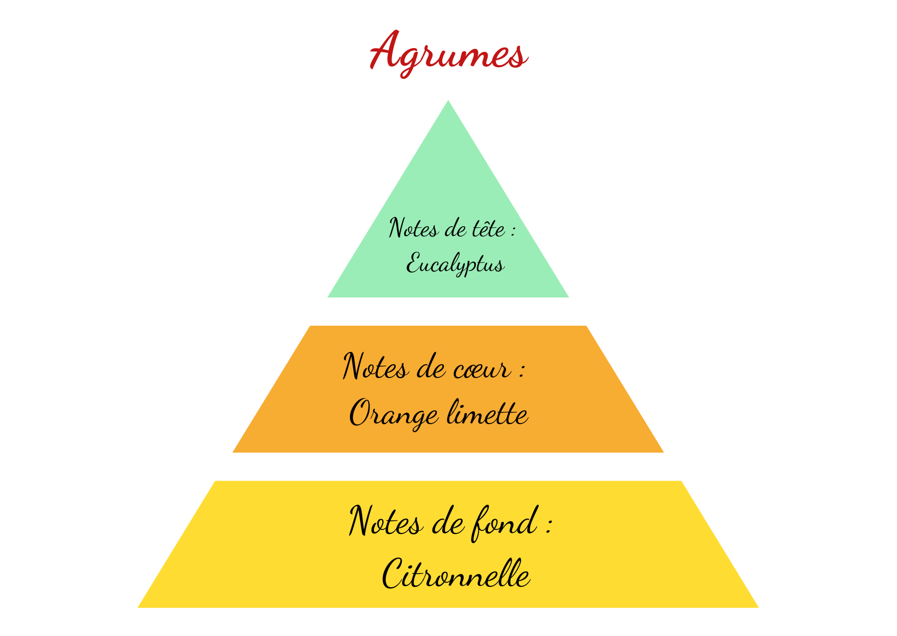 PYRAMIDE OLFACTIVE DES SENTEURS - les-senteurs-de-barbara