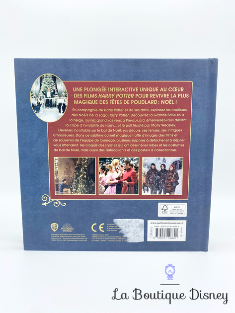 Livre Harry Potter Noël à Poudlard Le Carnet Magique Wizarding World