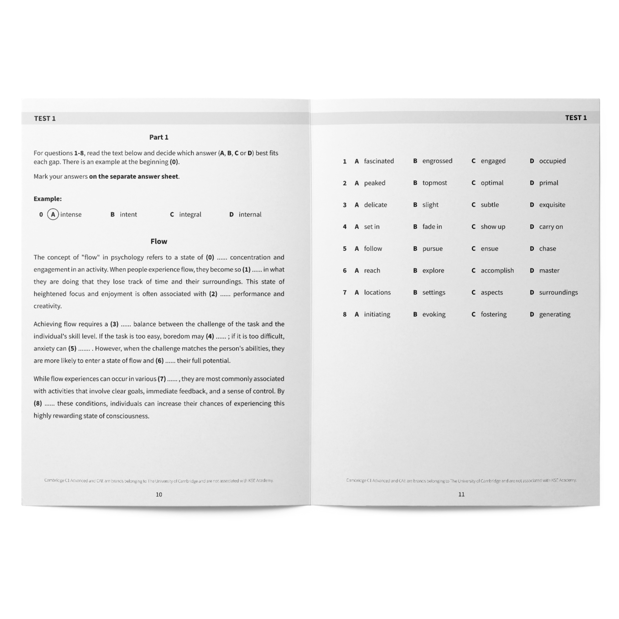 Use of English C1: 10 Use of English Tests for C1 Advanced (CAE ...