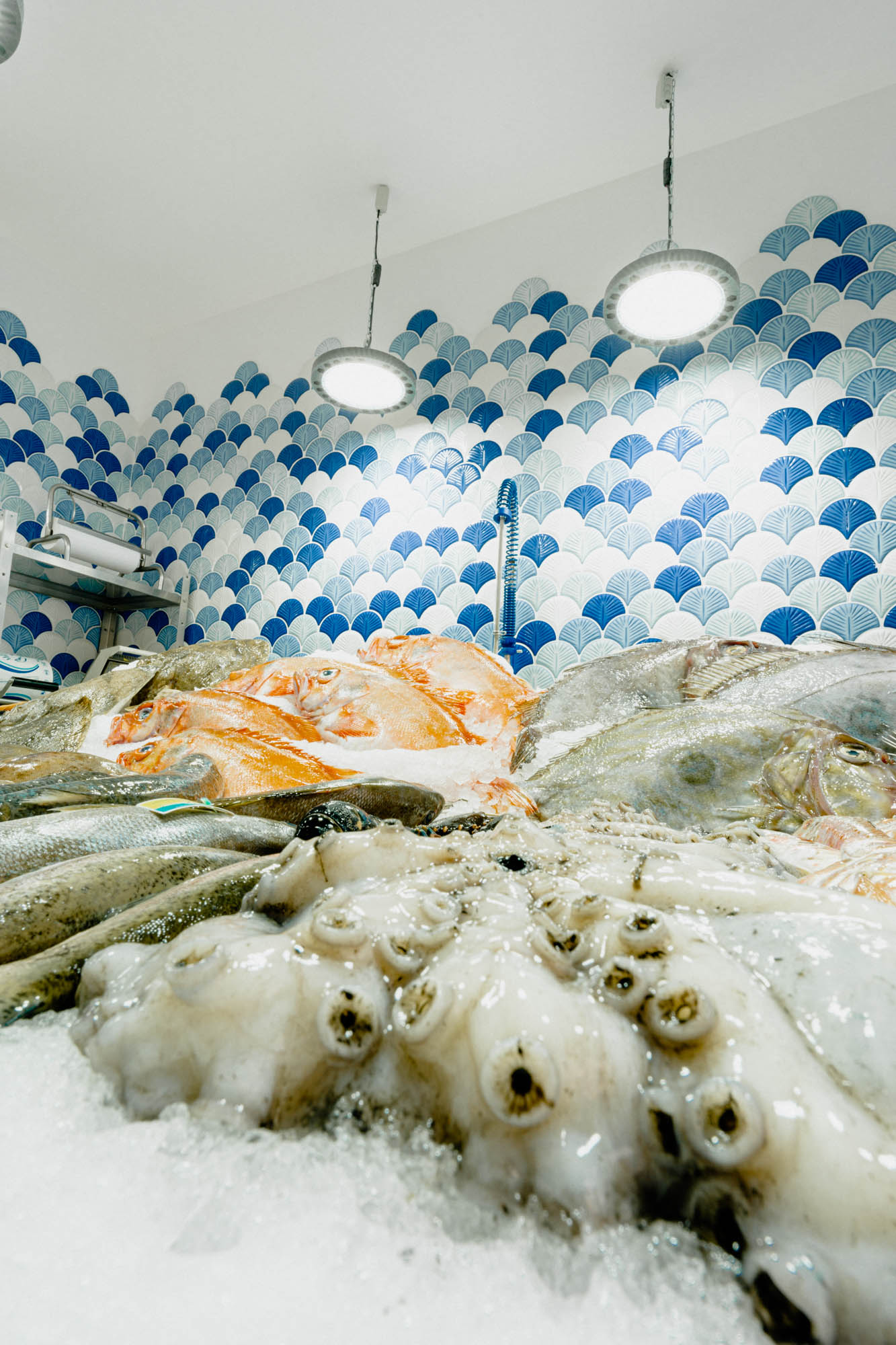 POISSONS - quentin-le-poissonnier