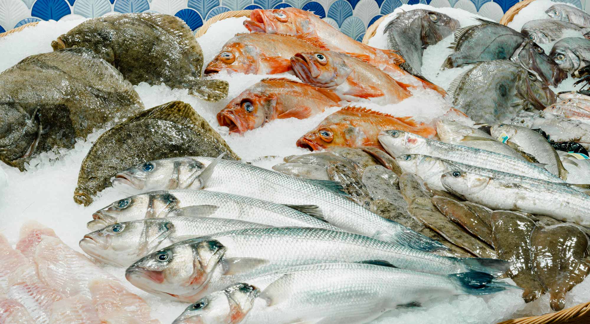 QUENTIN LE POISSONNIER - click and collect à Nice