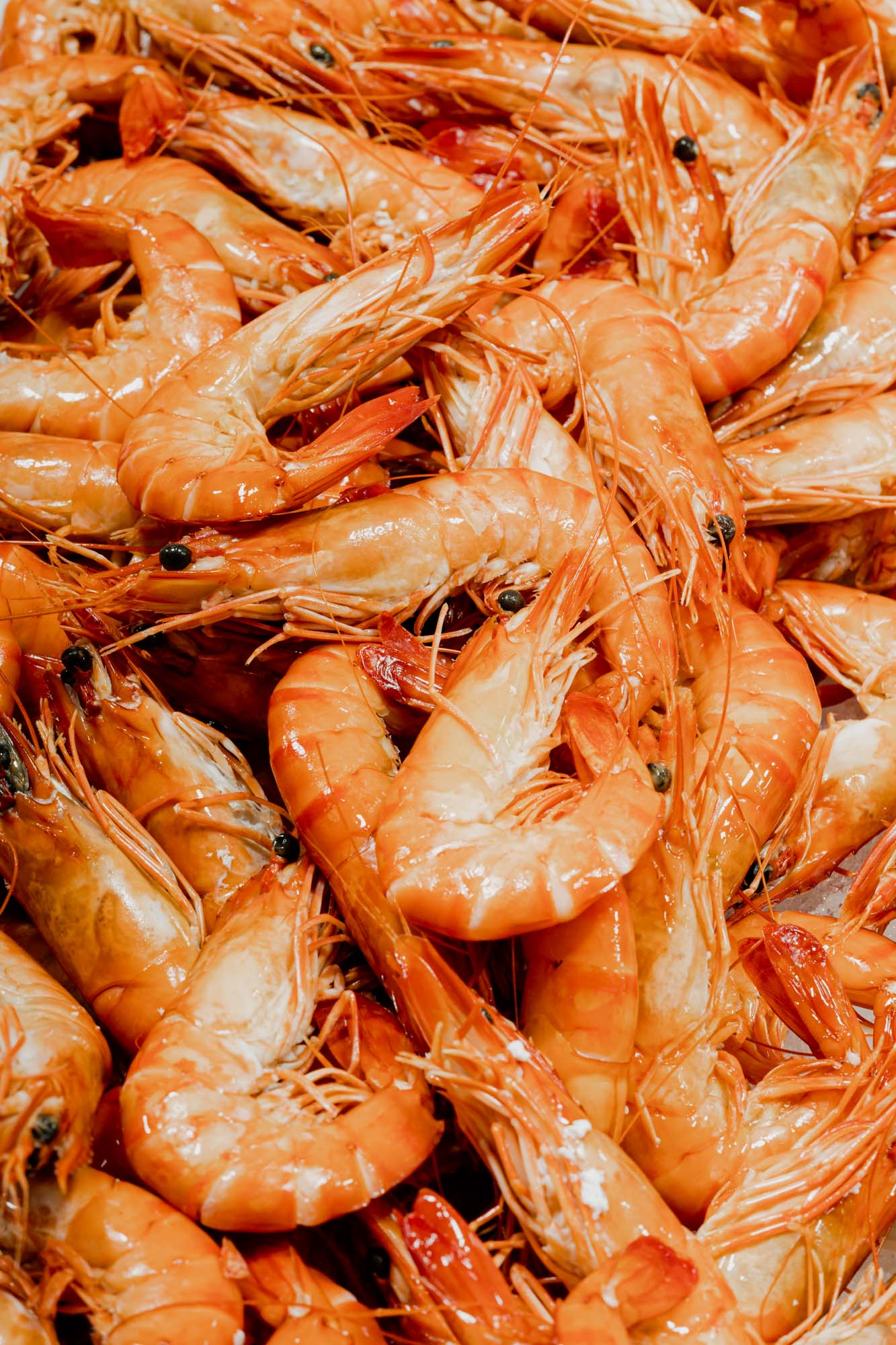 QUENTIN LE POISSONNIER - click and collect à Nice