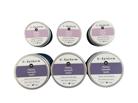 Epiderm Pack Testing - 6 unités 3*C Epiderm + 3 D Epiderm - Produits ...