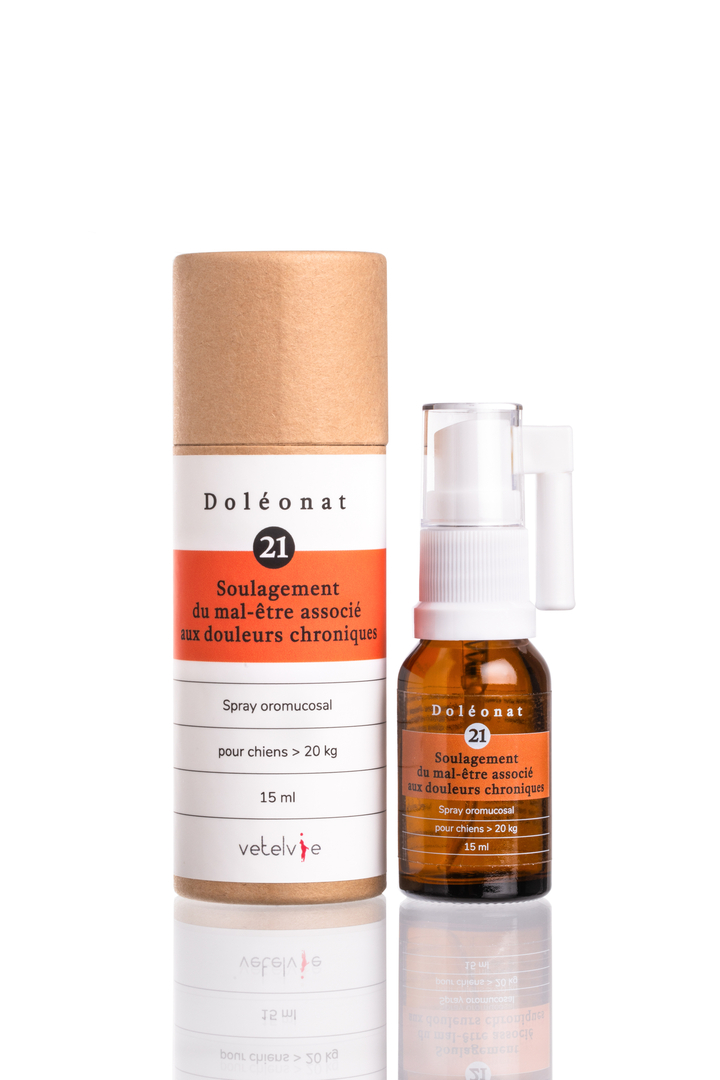 Doléonat 21 - chiens > 20 kg - Pack de 6 ou 18 unités