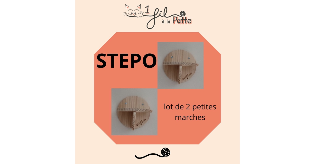 STEPO - les 2 petites marches - PARCOURO - PARCOURS MURAUX - 1filalapatte