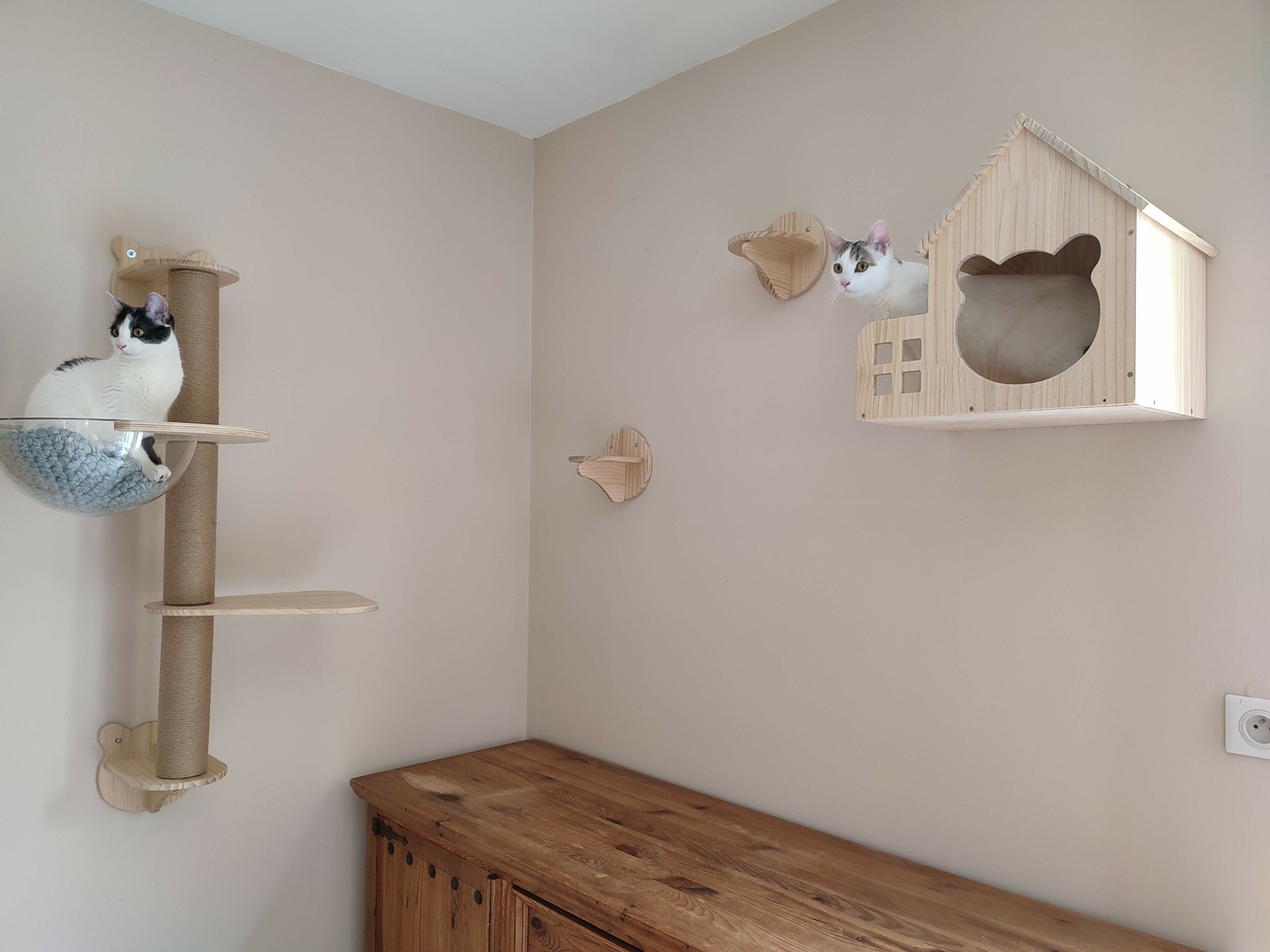 CLIMBO - l'arbre à chat mural - PARCOURO - PARCOURS MURAUX - 1filalapatte