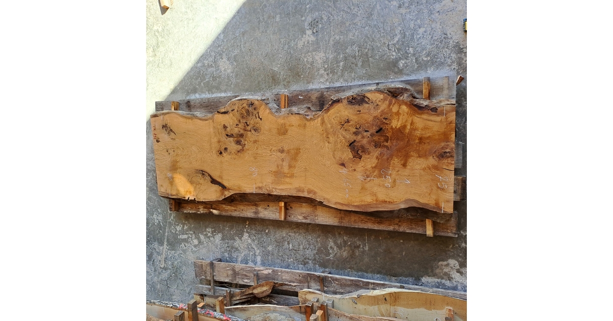 Plateau loupe de chêne CHL894 - Bois plateau table brut - rbbois