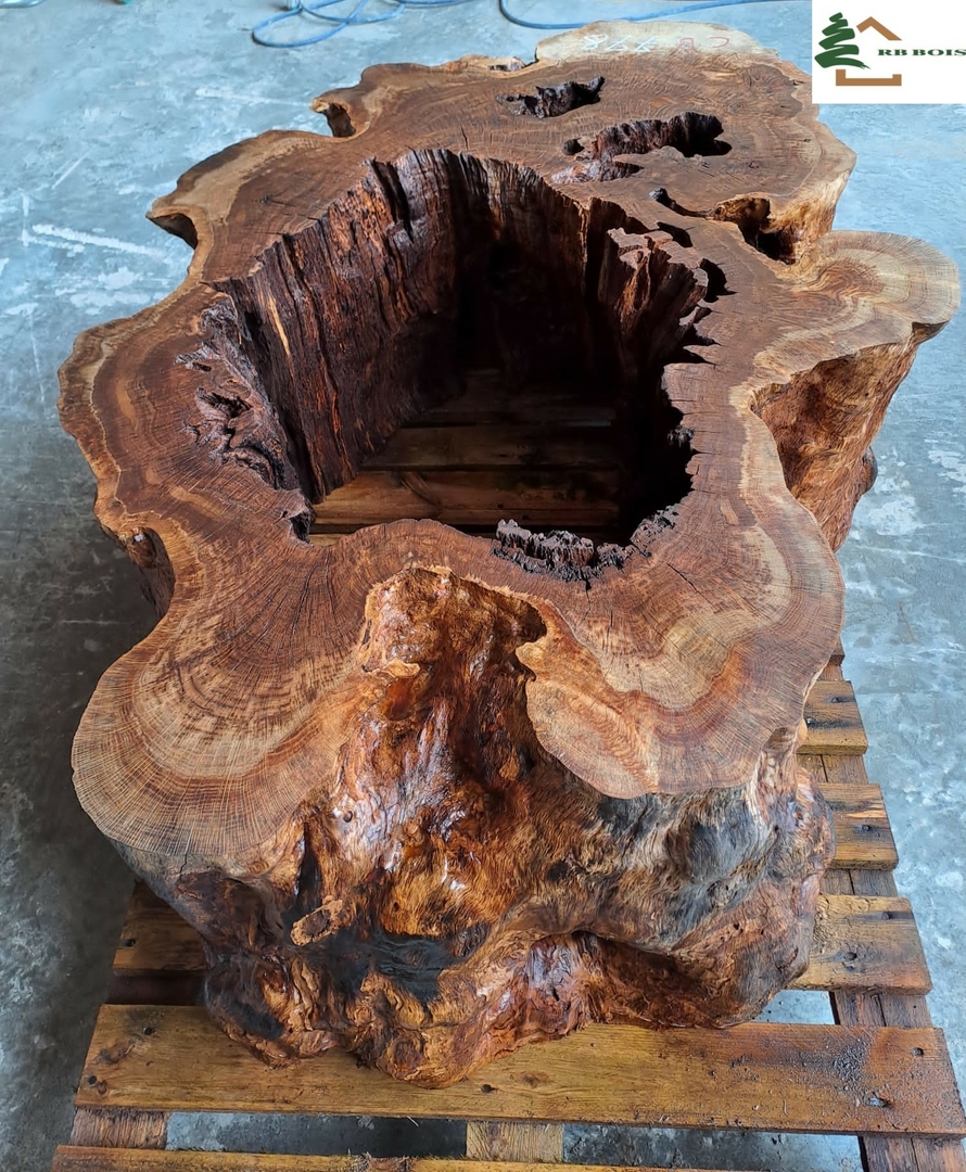 Bloc Loupe de Chêne CB778 : Connaissez l'histoire de ce chef-d'œuvre unique