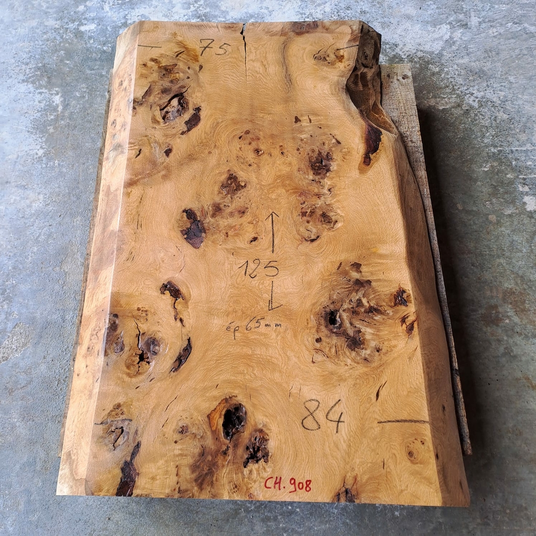 Plateau loupe de chêne CHL908 - Bois plateau table brut - rbbois