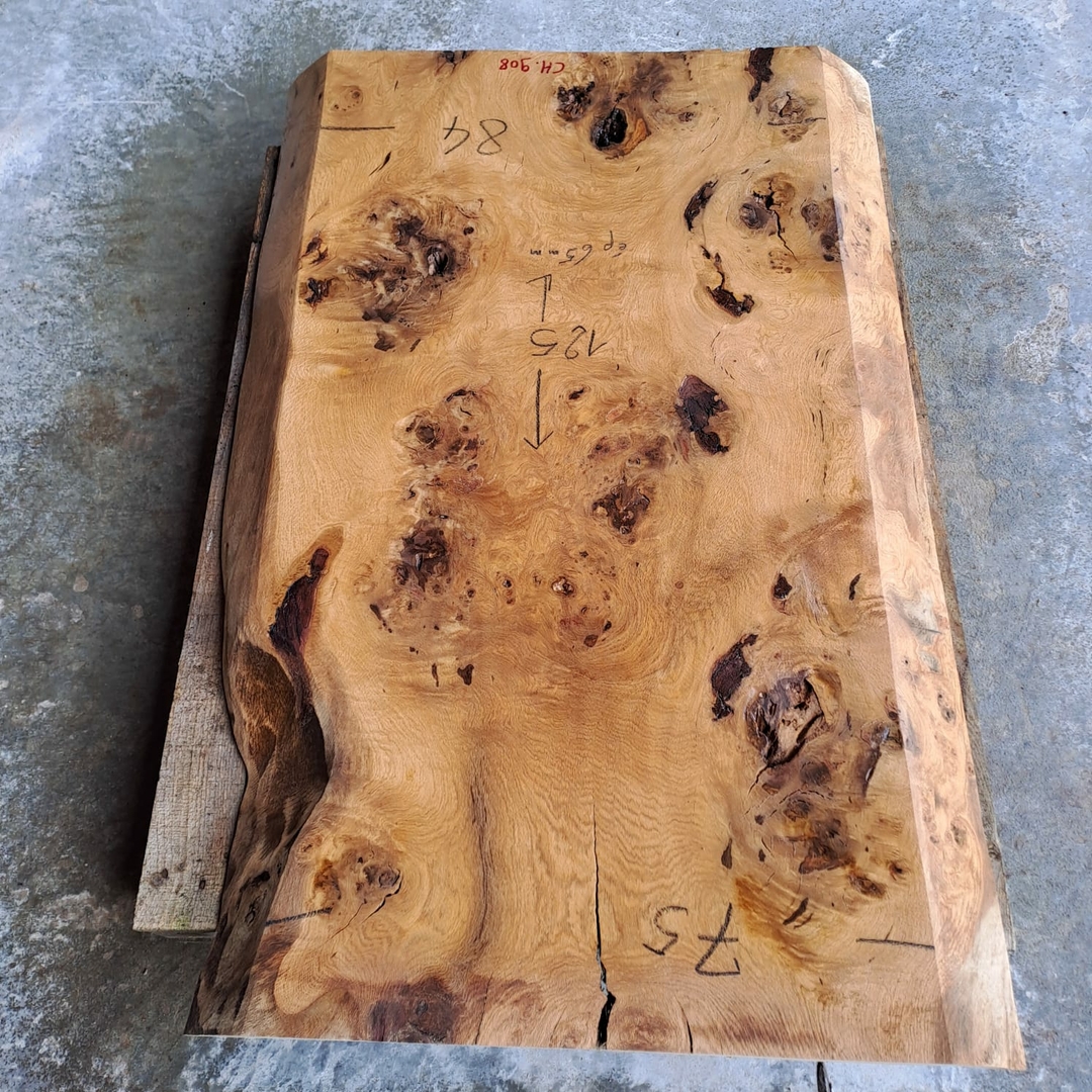 Plateau loupe de chêne CHL908 - Bois plateau table brut - rbbois