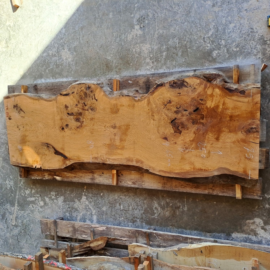 Plateau loupe de chêne CHL894 - Bois plateau table brut - rbbois