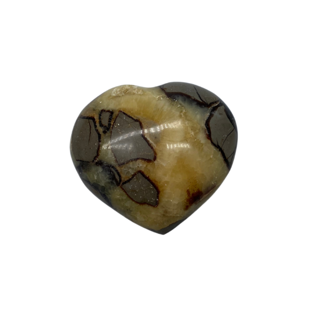 Coeur en Septaria - 7 à 8cm - Qualité A+ - Minéraux