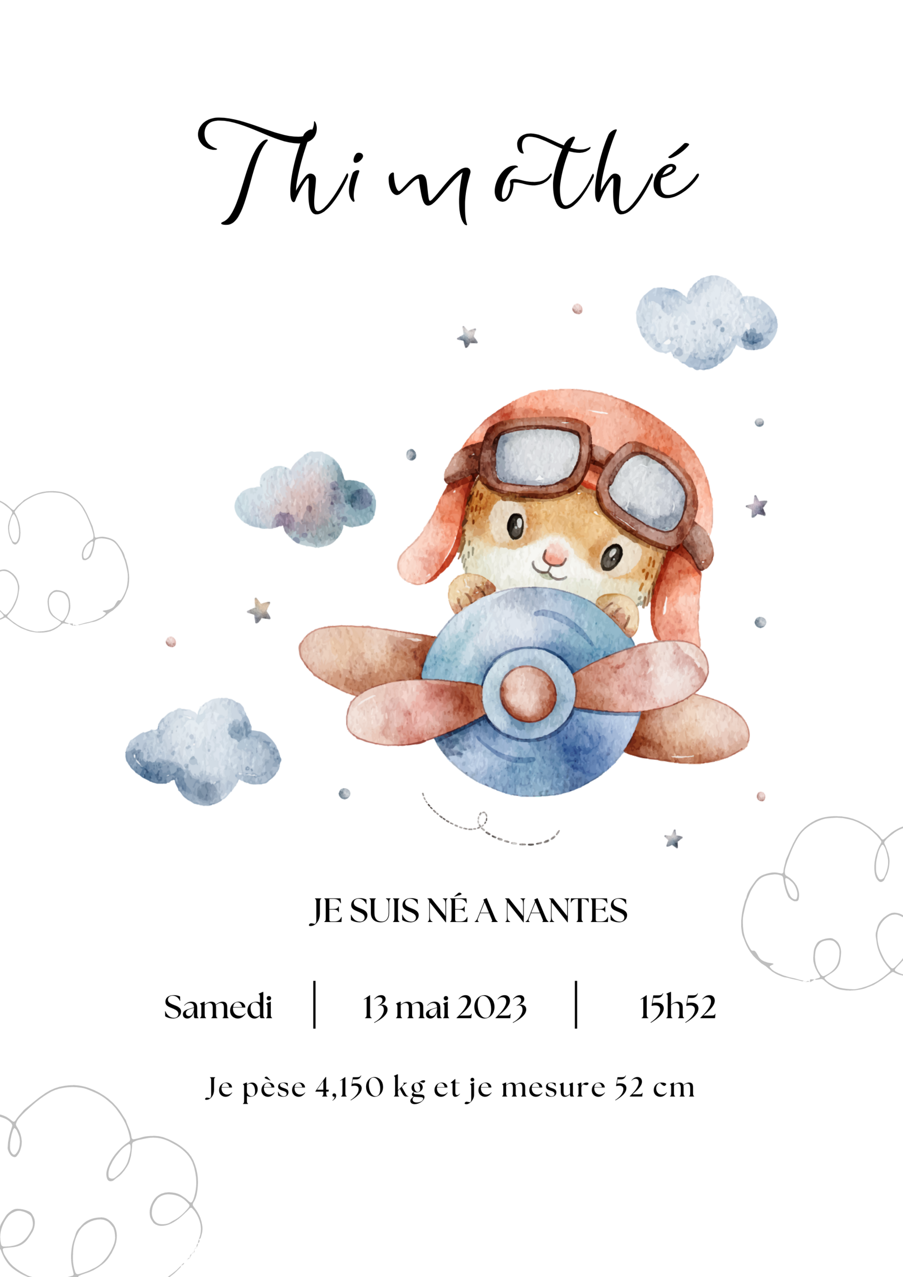 Affiche de naissance Ourson aviateur - Cadeaux Naissance/Affiches de ...