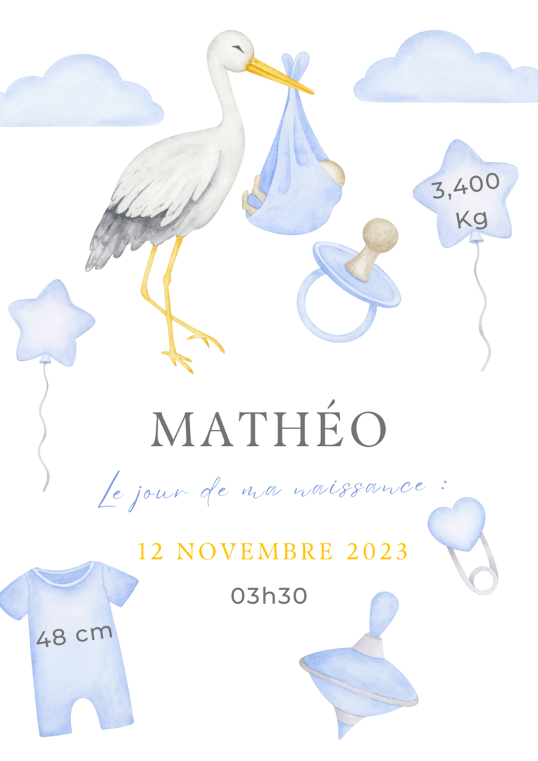 Affiche de naissance personnalisée Cigogne - Cadeaux Naissance/Affiches ...