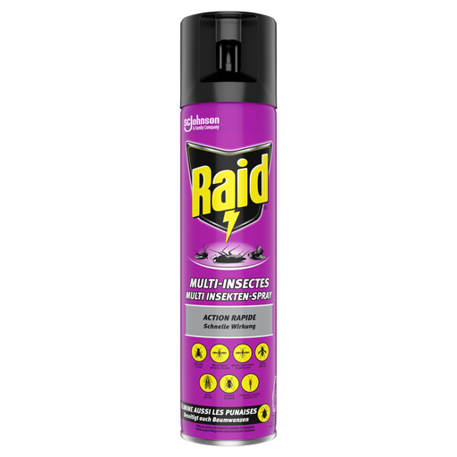 RAID - INSECTICIDE MULTI-INSECTES Spray de 400ml - Entretien au ...