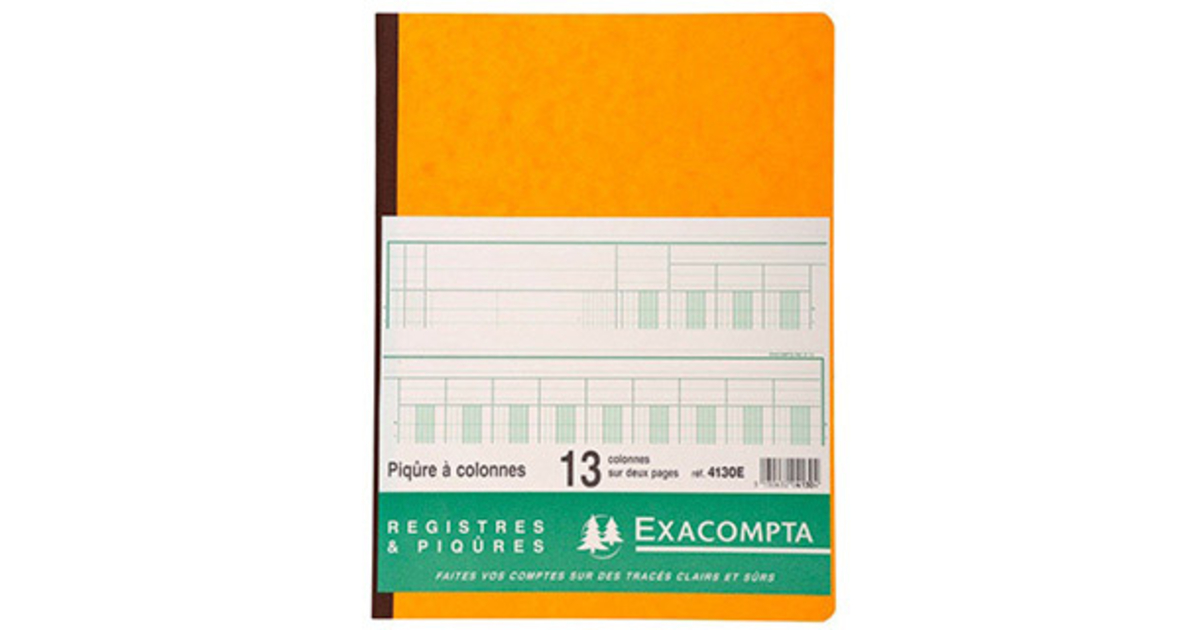 REGISTRE COMPTABLE 13 COLONNES SUR 2 PAGES 32x25cm - Registres ...