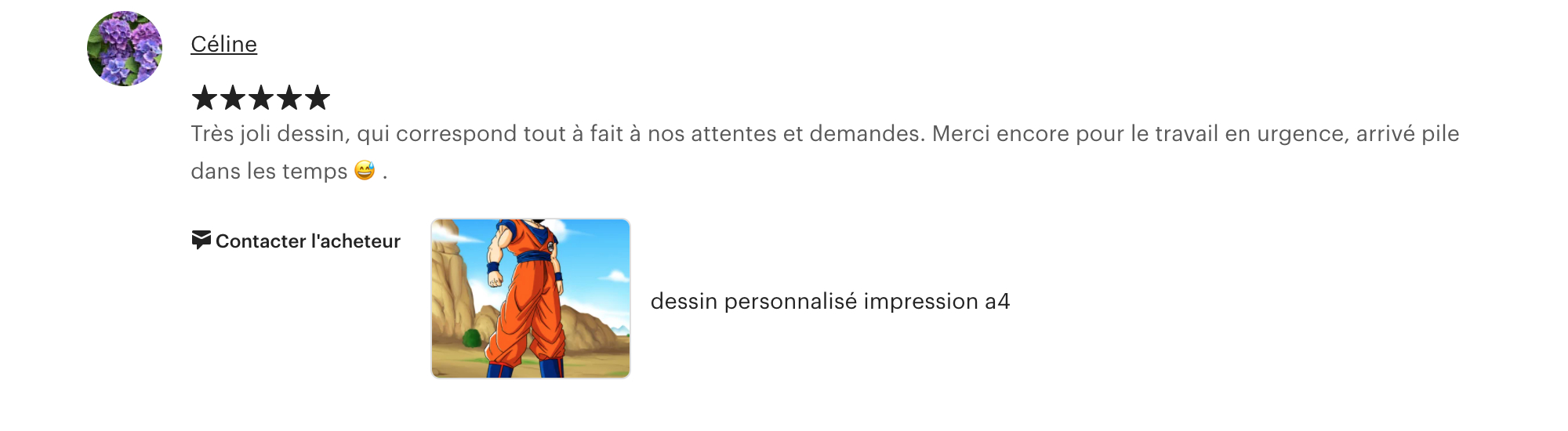 Présentation de Stef Solaris, de ses créations et du site