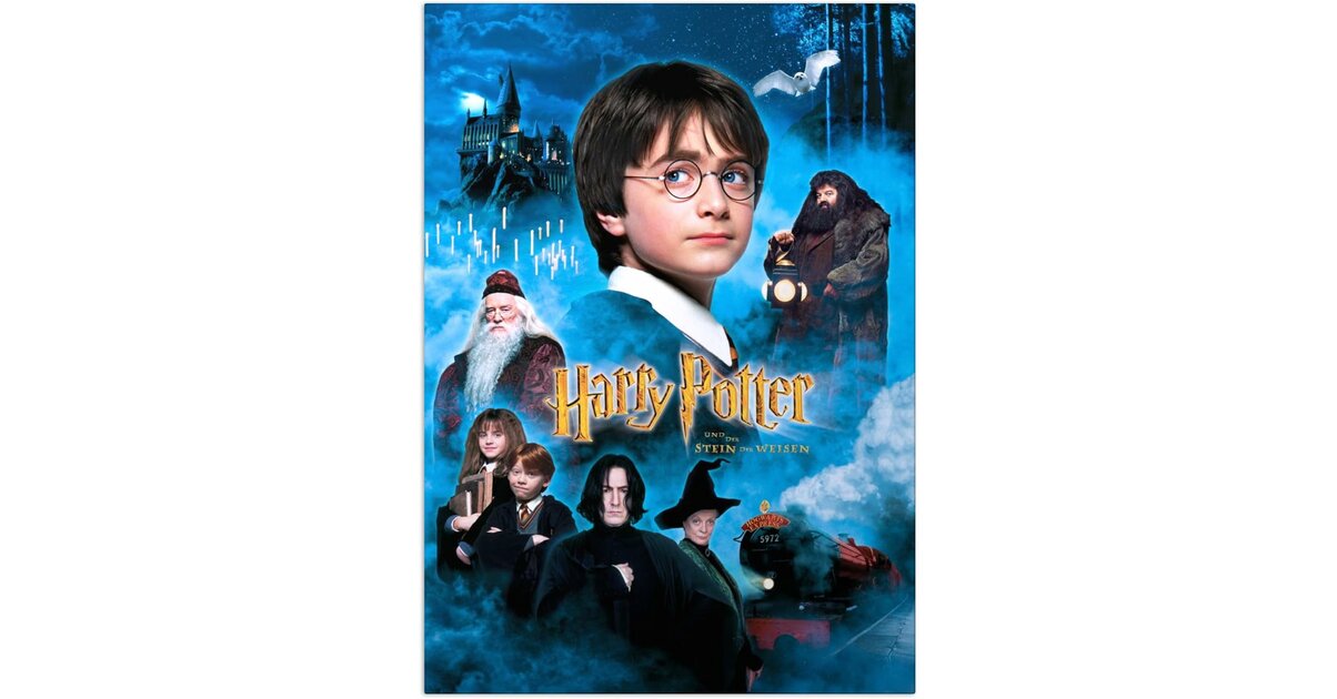Poster Metal Displate Harry Potter Fixation Magnétique
