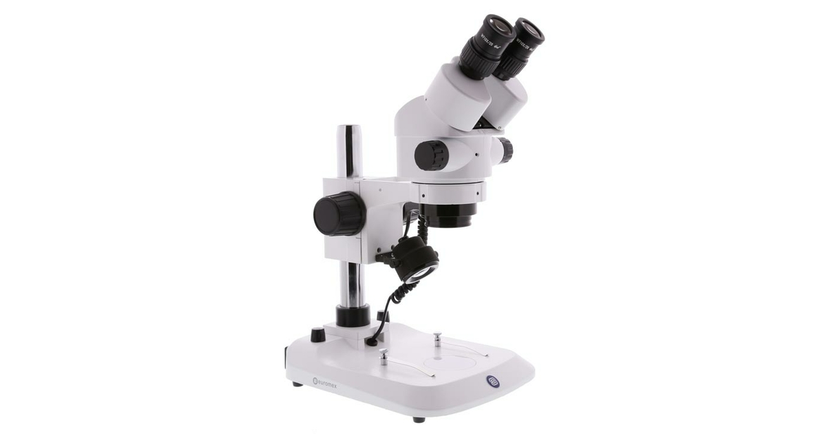 Microscope StereoBlue binoculaire SB.1902-P - LUPEN UND MIKROSKOPE ...