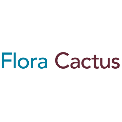 Voir tout - flora-cactus
