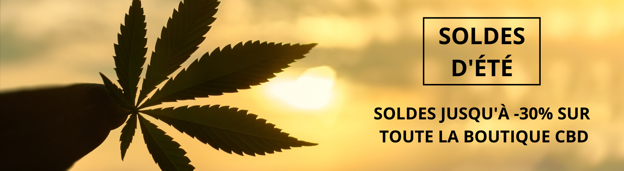 CBD-ALPHA - Votre boutique en ligne de CBD - Fleurs de CBD