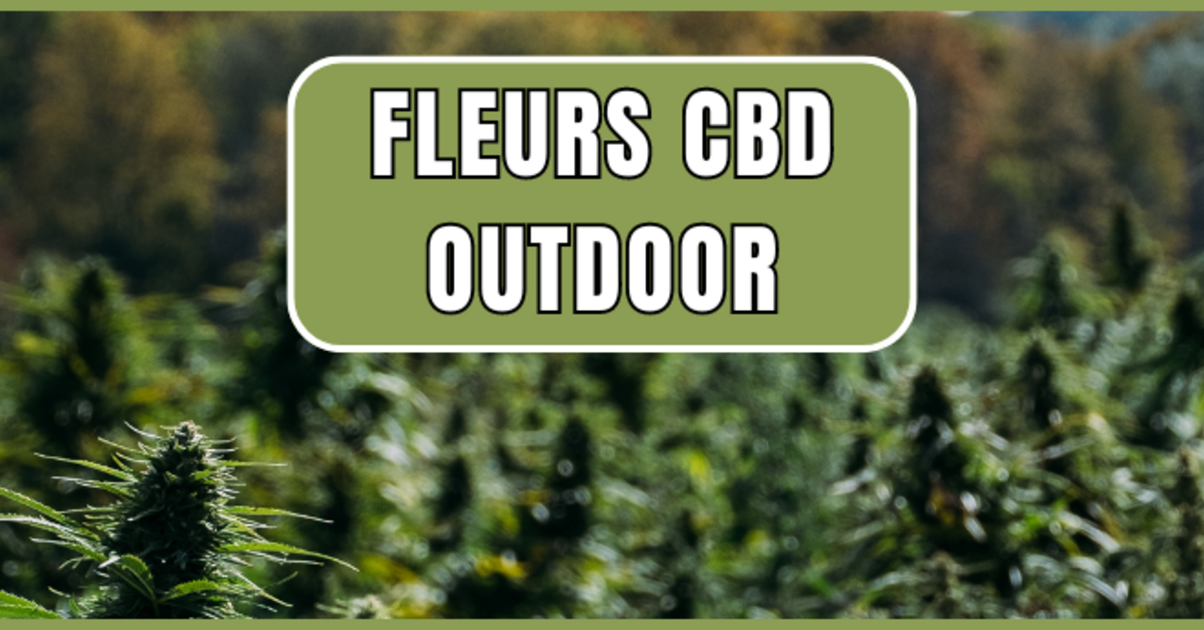 FLEURS CBD - CBD Outdoor - CBD pas cher