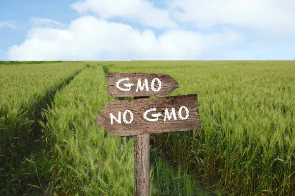 Unlocking the Health Benefits of Non-GMO Foods: A Guide to Safe and ...