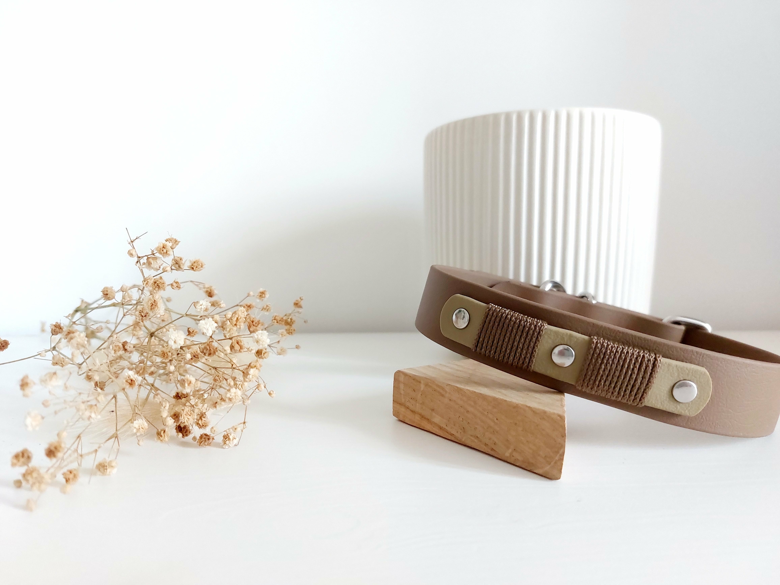 Collier pour chiens en biothane personnalisé