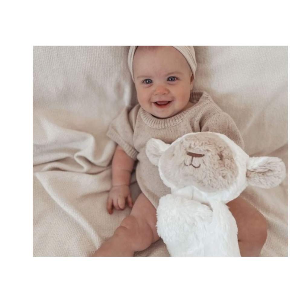 Ob Designs - reve-dore