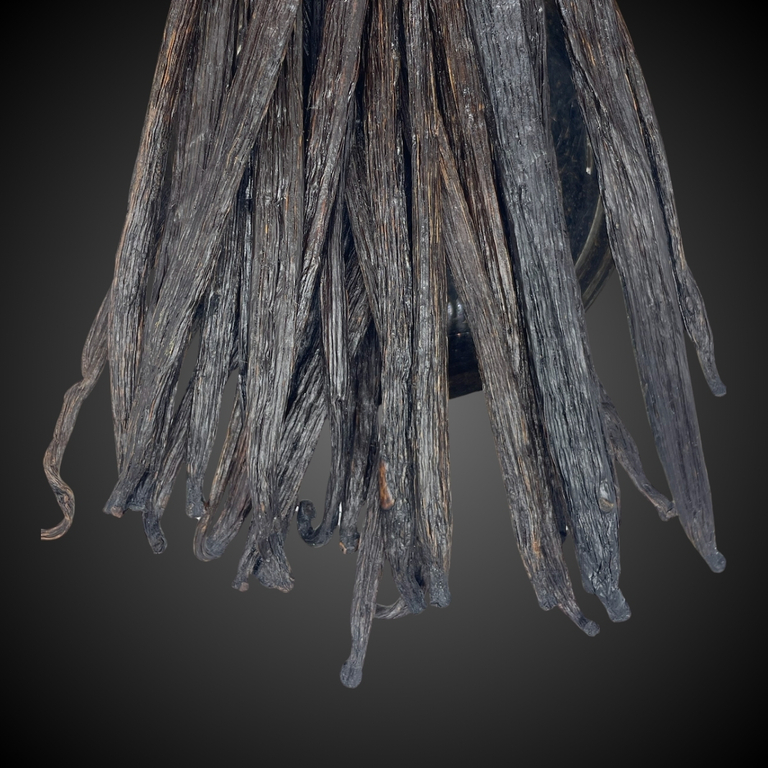 Vanille en Gousse sous Vide - Épices & Aromates/Vanille - Trésors-en-épices