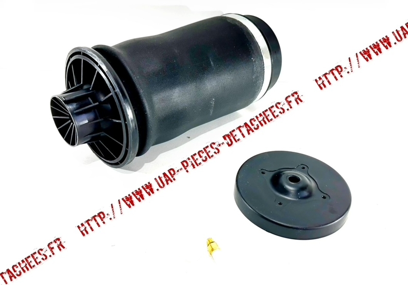 Ressort pneumatique arrière pour ML/GLE type W164/W166