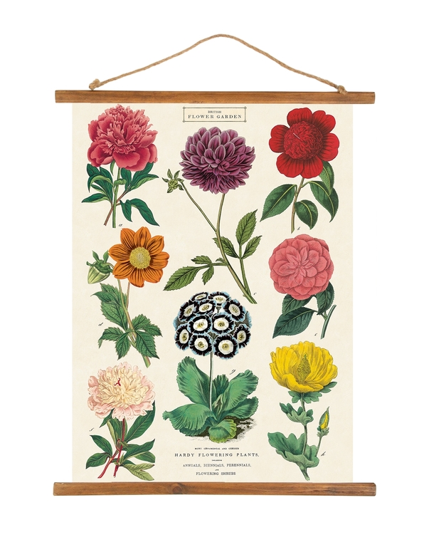 AFFICHE VINTAGE CAVALLINI FLEURS DU JARDIN 50X70CMS