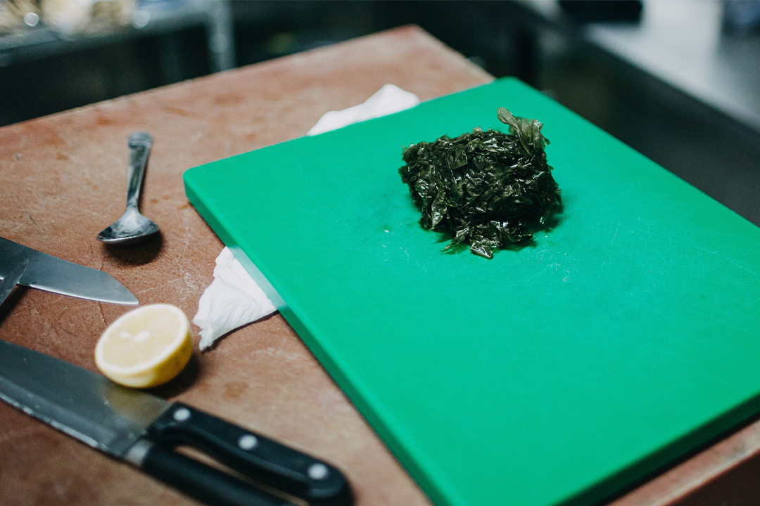 L'algue laitue de mer, c'est quoi ? - Bord à bord Bretagne