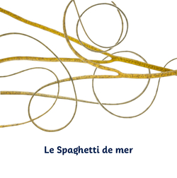 Tous les produits avec le Spaghetti de mer - bord-a-bord
