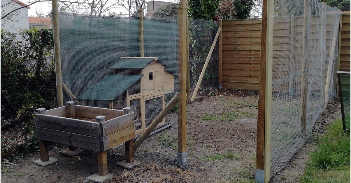 Construire un poulailler DIY : un abri à poules fait maison ...