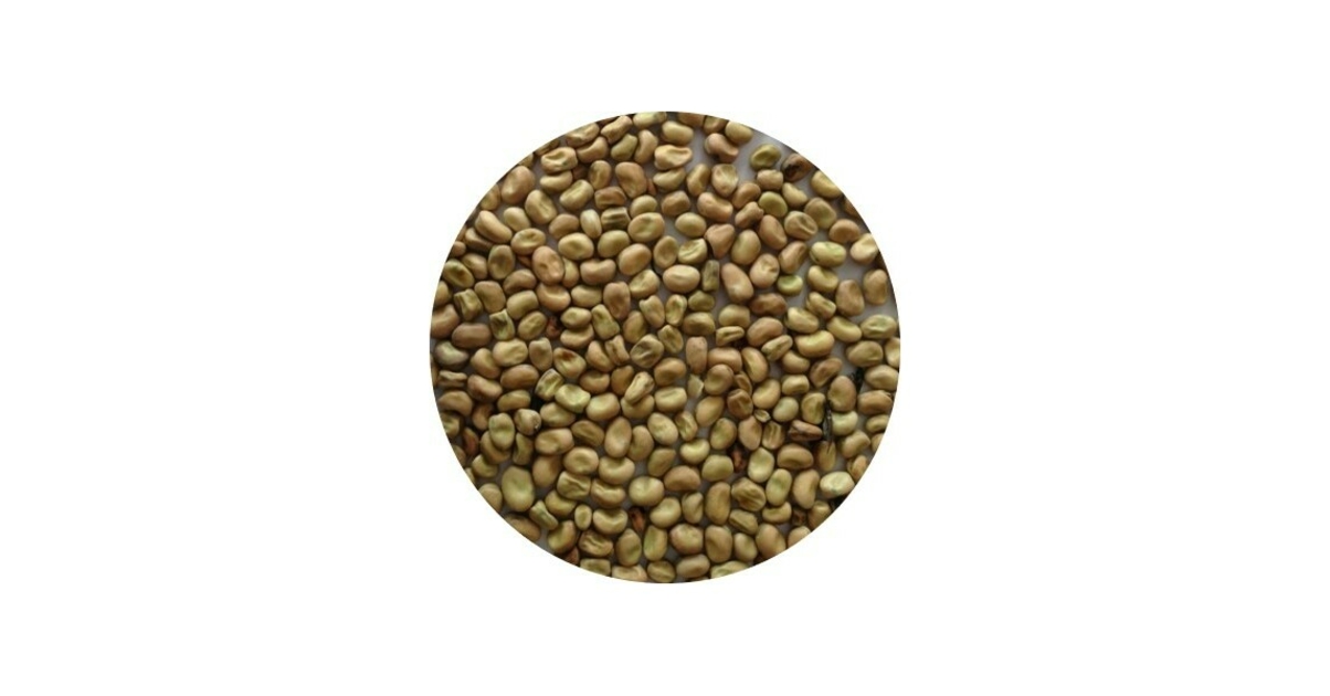 Feveroles Legumor : La nouvelle sensation de l'alimentation saine ...