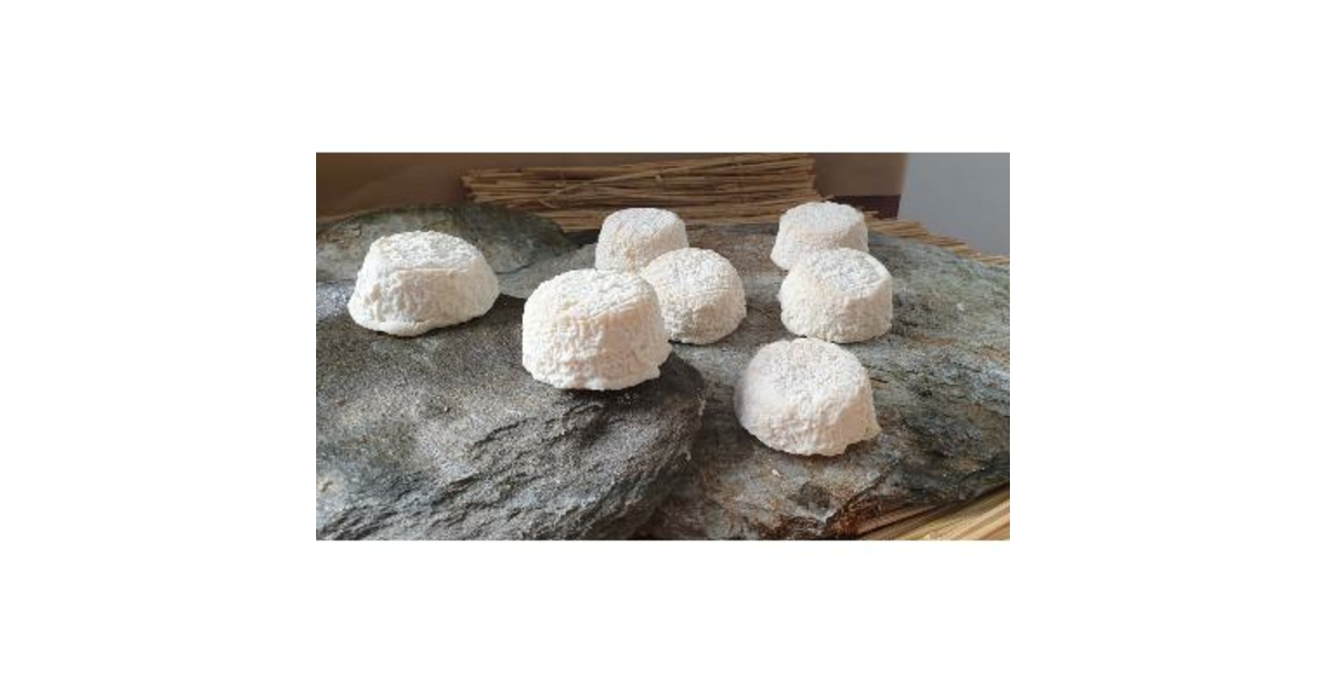 Crottin de chèvre lait pasteurisé (60g environ)