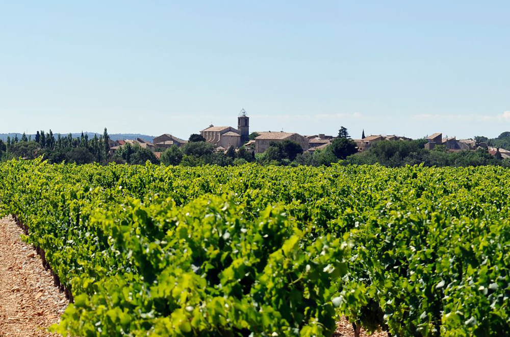 Cave à vin à Sérignan-du-Comtat - Cave coopérative