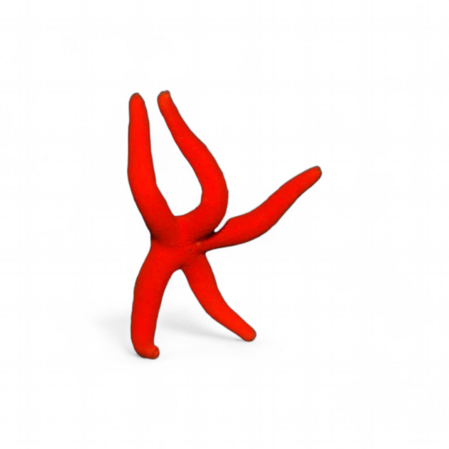 Linckia sp rouge - Un compagnon marin vivant pour aquariums récifaux ...