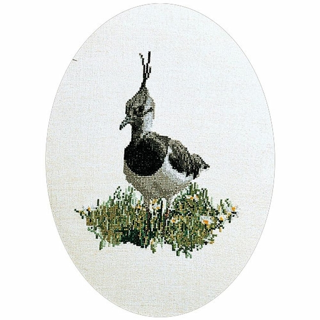 Thea Gouverneur 1026 lin Vanneau Huppé