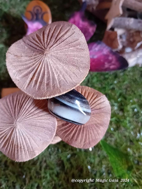 Onyx rubané (sulemani)