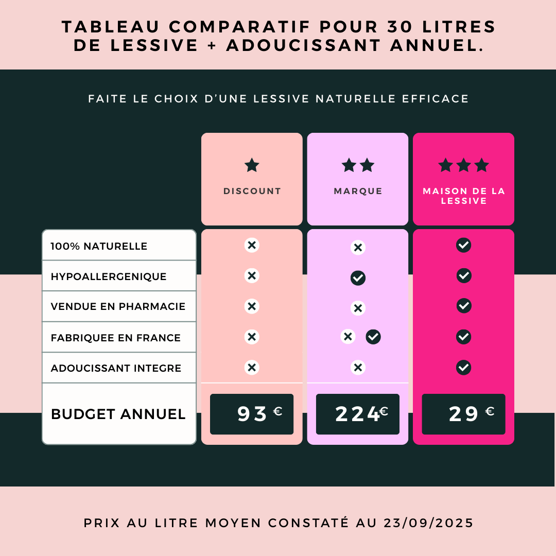 Lessive Maison 100% Naturelle à 0,08€ par lavage – France