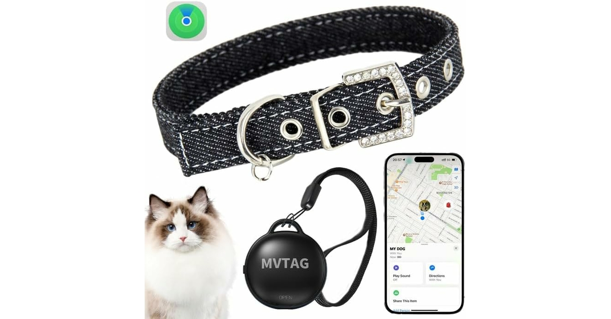 Collier GPS Chat Aoikoy – Suivi Fiable et Sans Abonnement