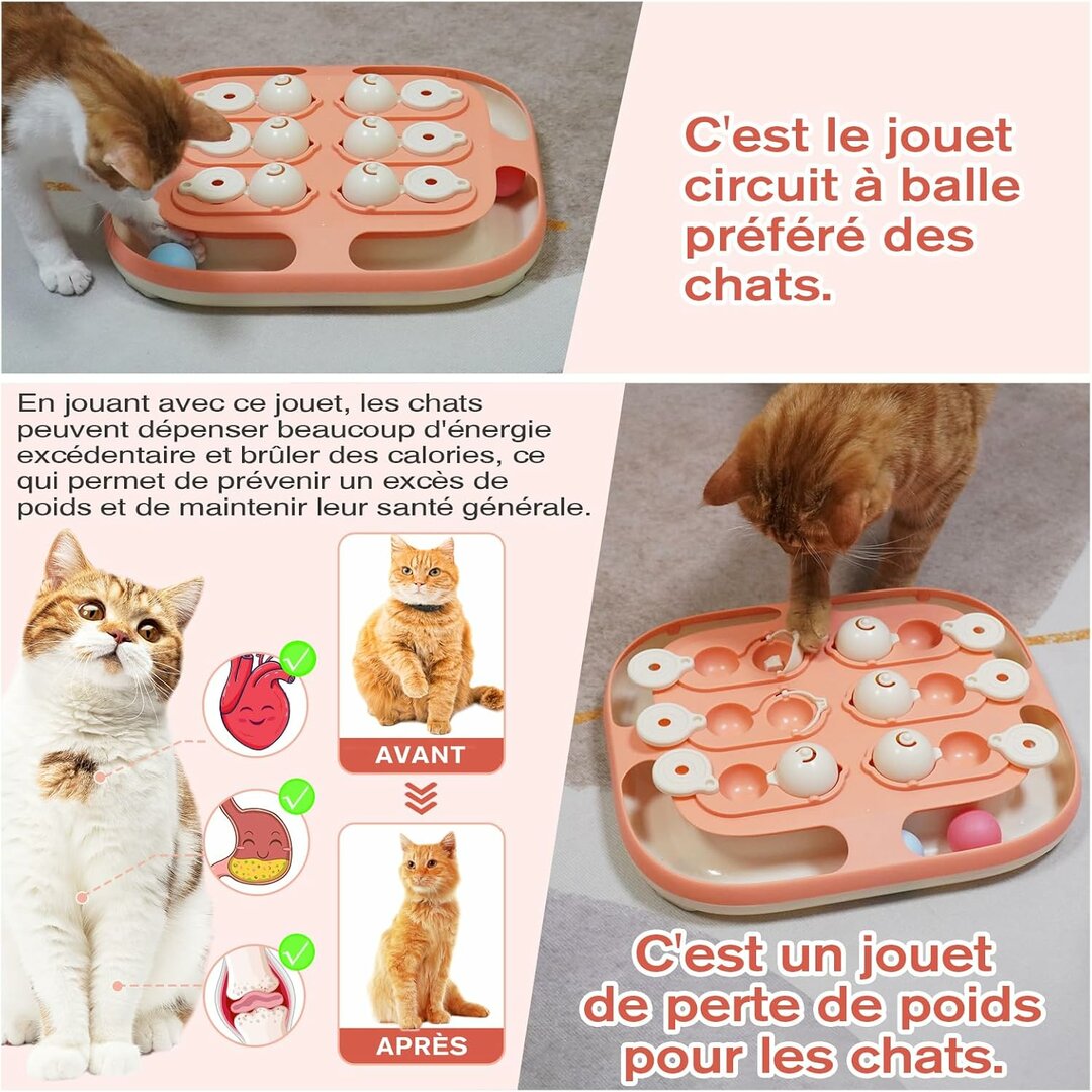 KADTC Jeu d’Intelligence pour Chat 2-en-1 Design Premium Rose