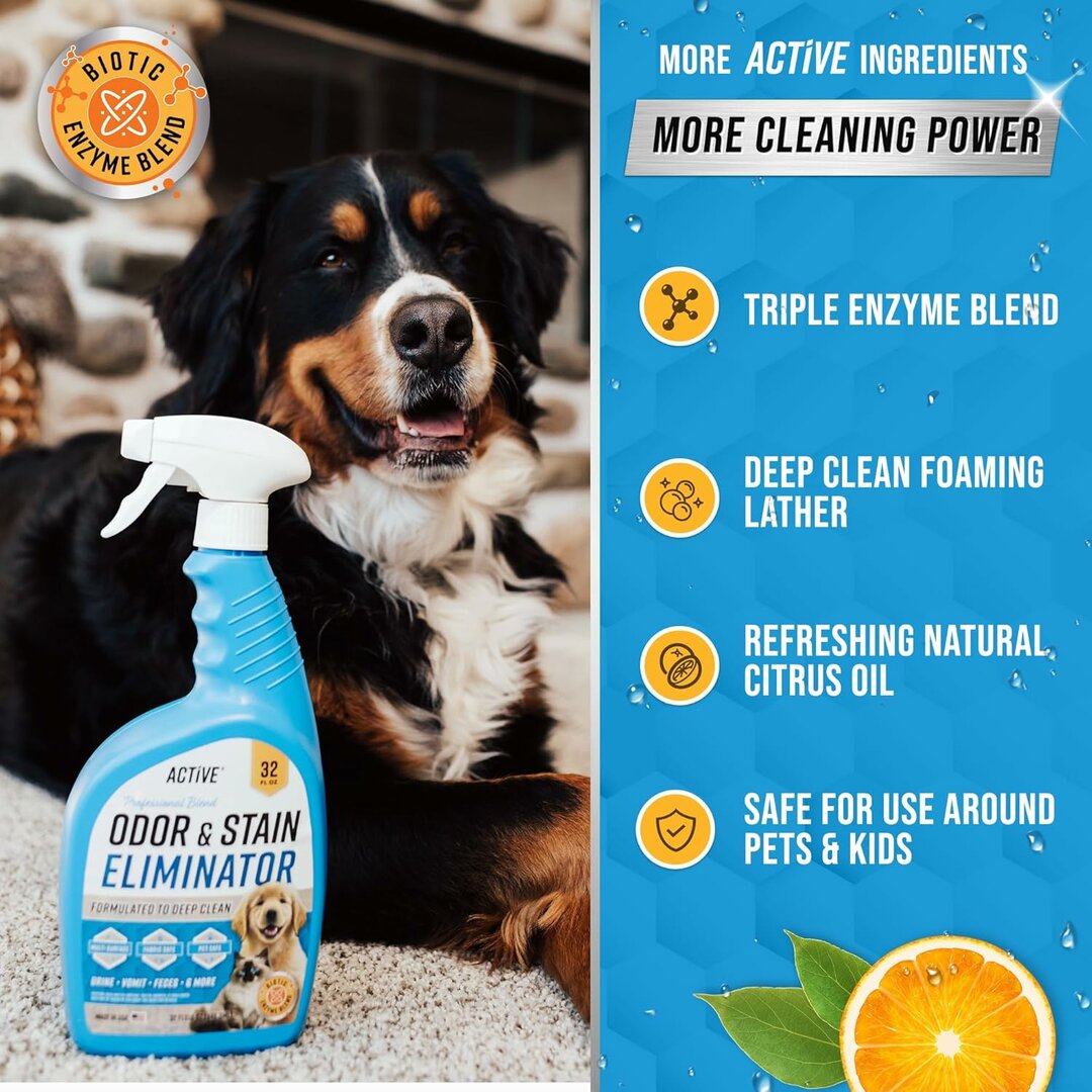 Pet Odor and Stain Eliminator - 32 oz ACTIVE Enzyme Cleaner for Dog ...