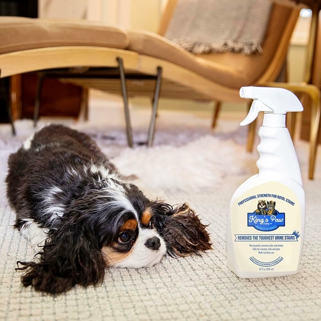 King's Paw Supply Co. Stain & Odor Eliminator for Strong Odor, 32oz ...