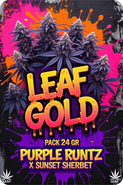 Pack Purple Runtz THCA x Sunset Sherbet Small Bud THCA – 24 g - FLEURS ...